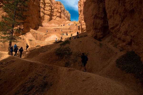 Navajo Loop Queen's Garden Trail