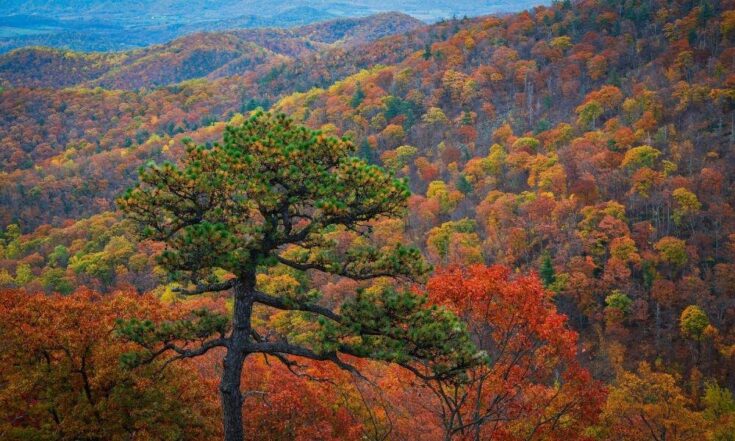 Visiting US National Parks in September - PhotoJeepers