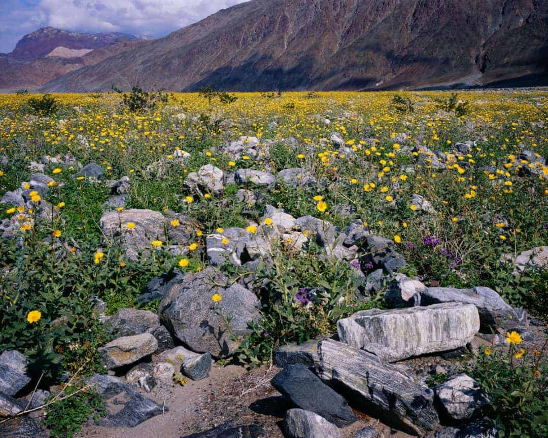 Visiting US National Parks in March - PhotoJeepers