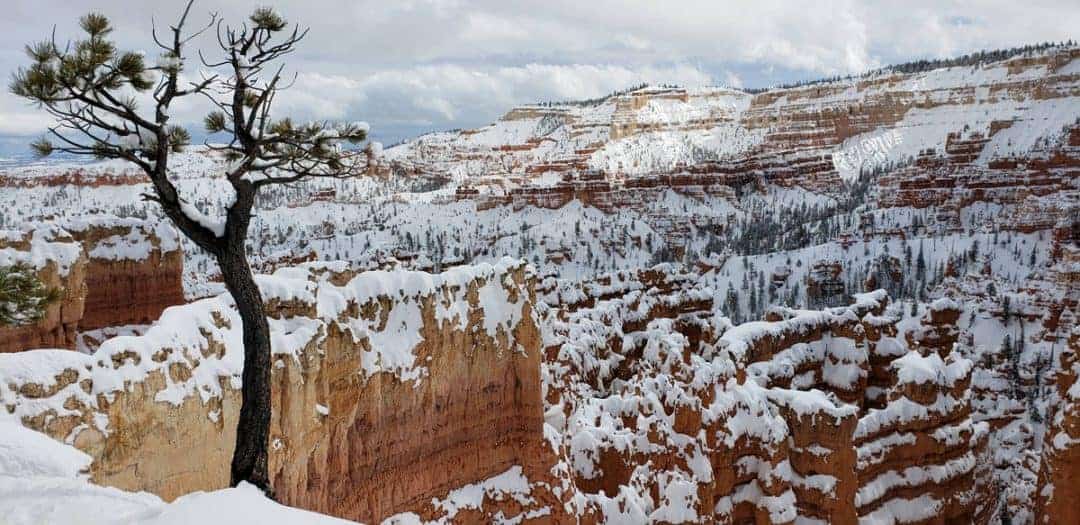 Visiting Bryce Canyon in the Fall - PhotoJeepers