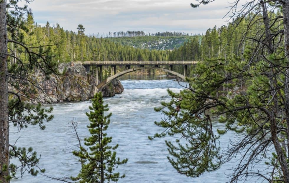 Yellowstone National Park Northern Loop: Things to See, Do, and ...