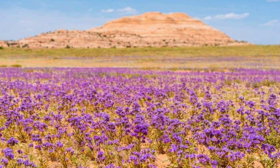 Packing Lists for Utah National Parks: Spring, Summer, Fall and Winter ...