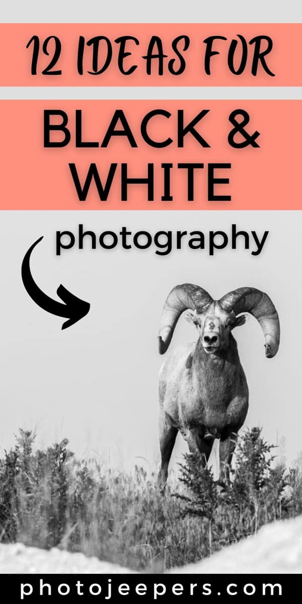 Black and White Photography Ideas - PhotoJeepers