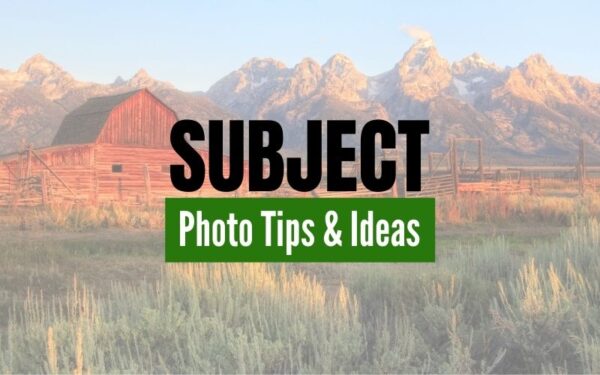 Fill The Frame Photography Technique - PhotoJeepers