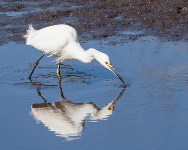 Reflection Photography Ideas and Tips - PhotoJeepers