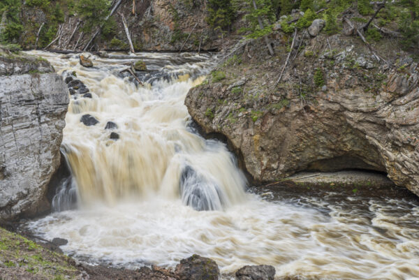 Yellowstone National Park Southern Loop: Things to See, Do, and ...