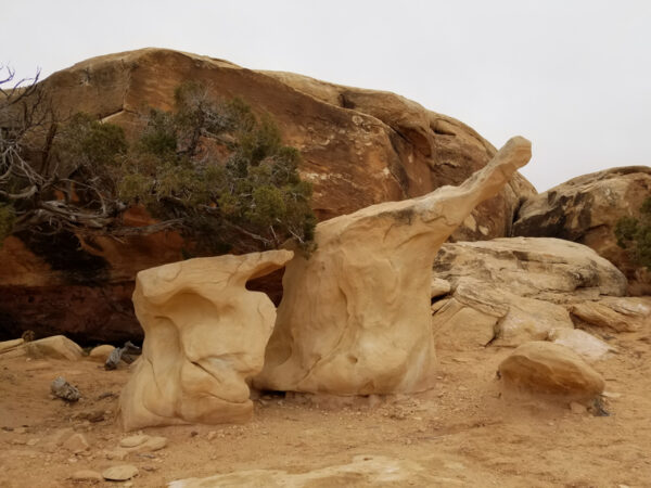 One Day at Needles Canyonlands National Park - PhotoJeepers