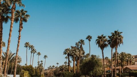 60+ June Vacation Ideas in the US By Region - PhotoJeepers