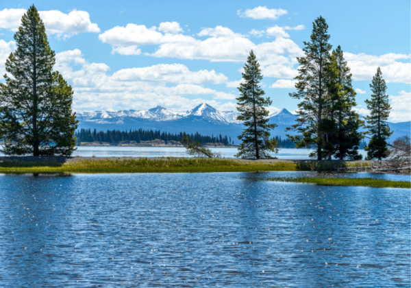 Grant and West Thumb Area Day Hikes in Yellowstone - PhotoJeepers