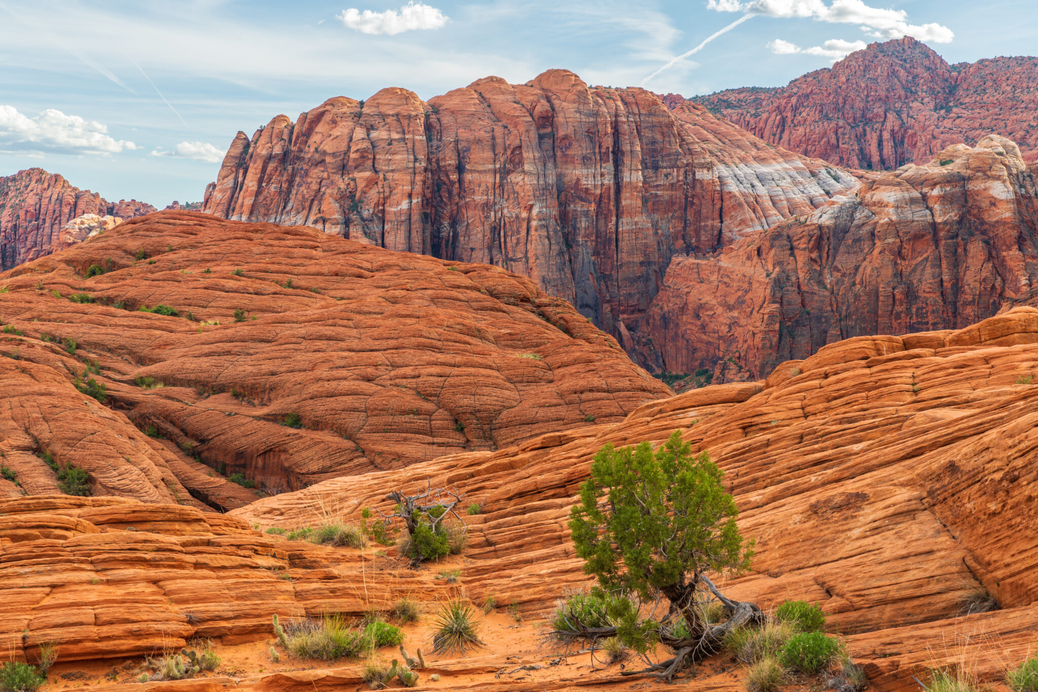 Utah Fall Activities + Travel Tips - PhotoJeepers