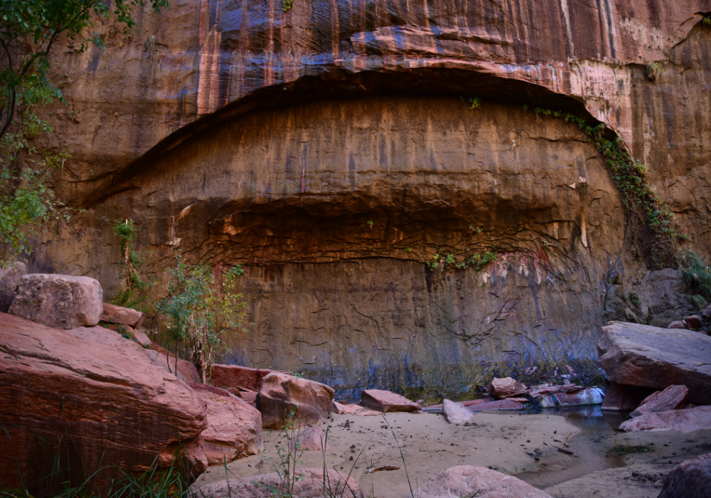 Best Short Hikes in Zion National Park