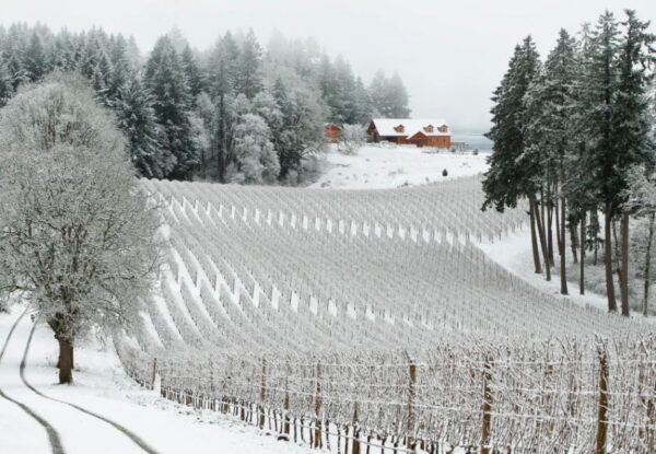 Places to Visit in Oregon in January - PhotoJeepers
