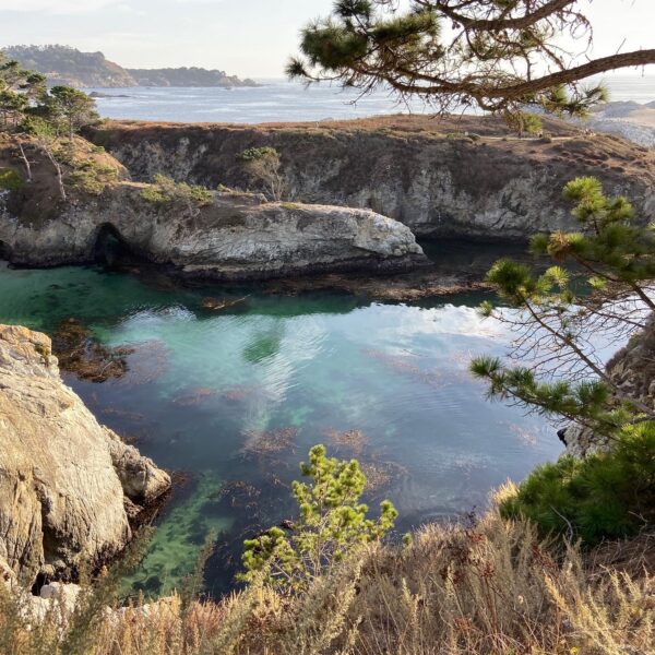Places to Visit in California in March - PhotoJeepers
