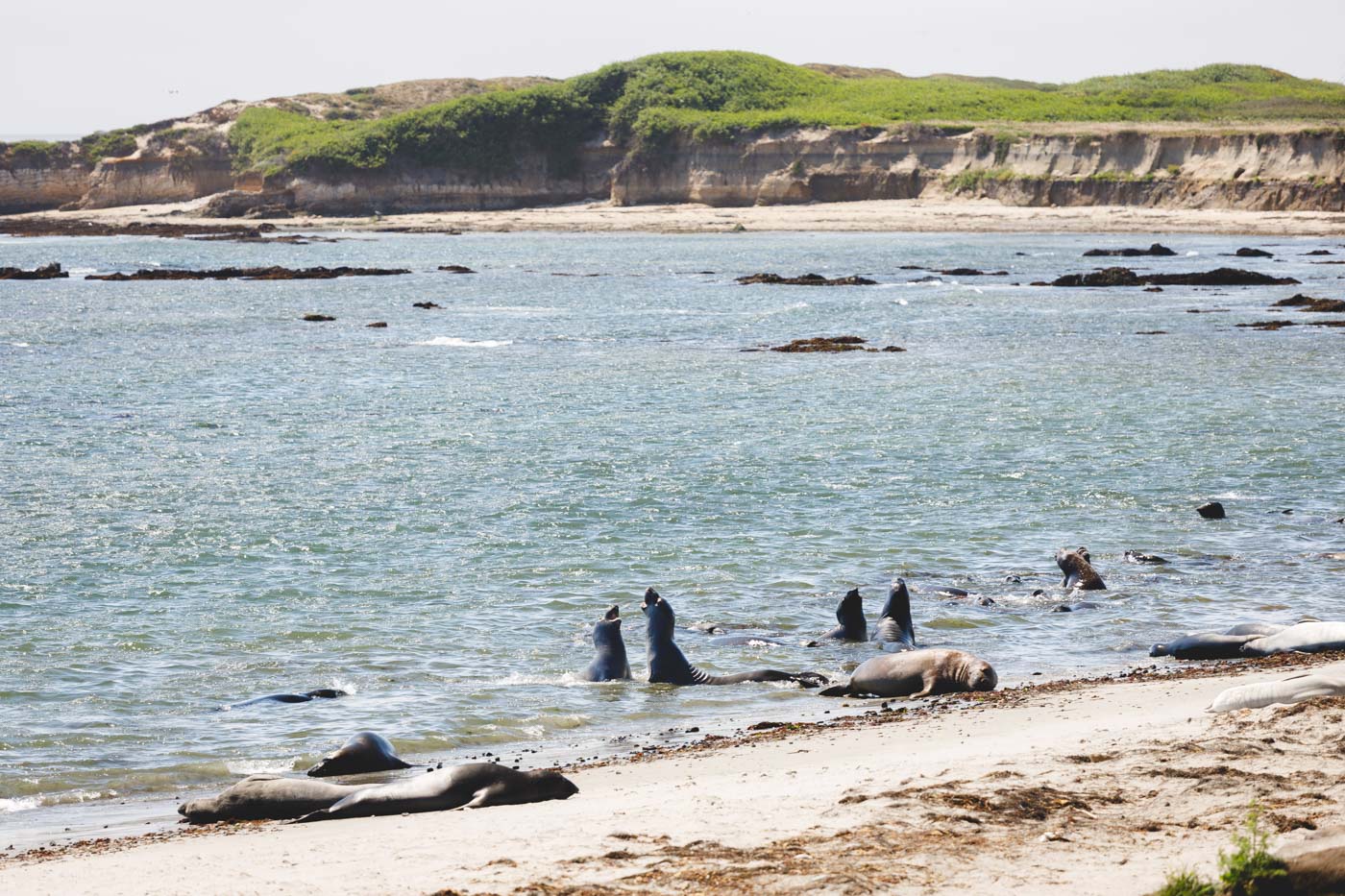 Places to Visit in California in March - PhotoJeepers