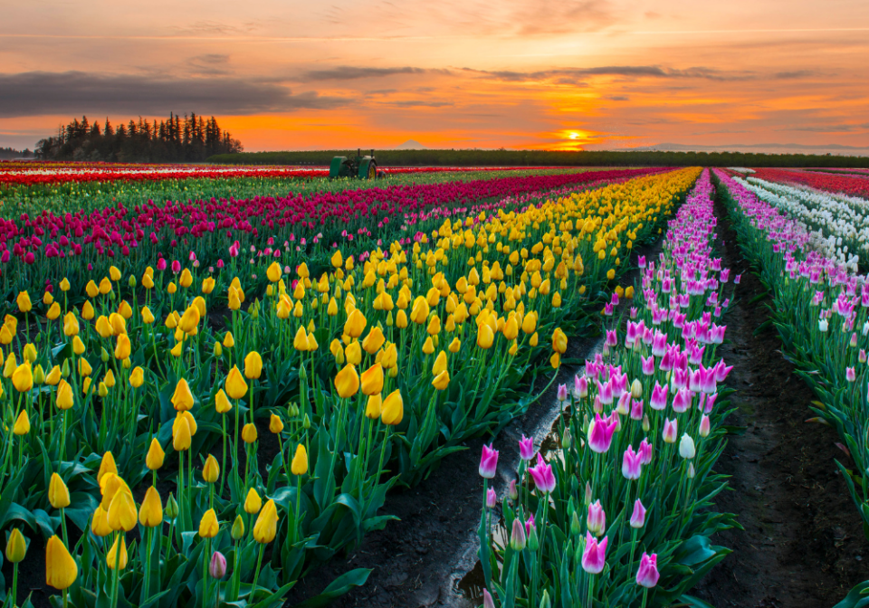 Places to Visit in Oregon in June - PhotoJeepers