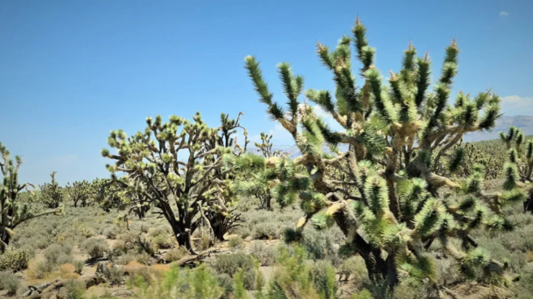 Places to Visit in the Southwest in the Spring - PhotoJeepers