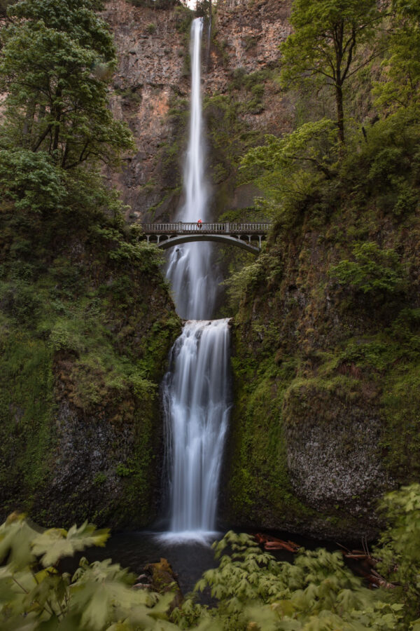 Places to Visit in Oregon in the Spring - PhotoJeepers