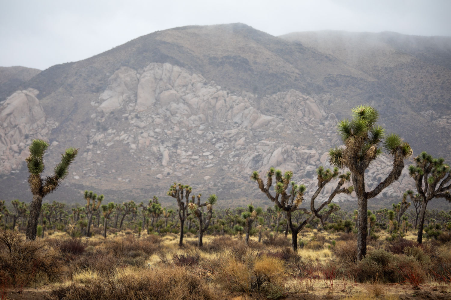 US Southwest National Parks in April - PhotoJeepers