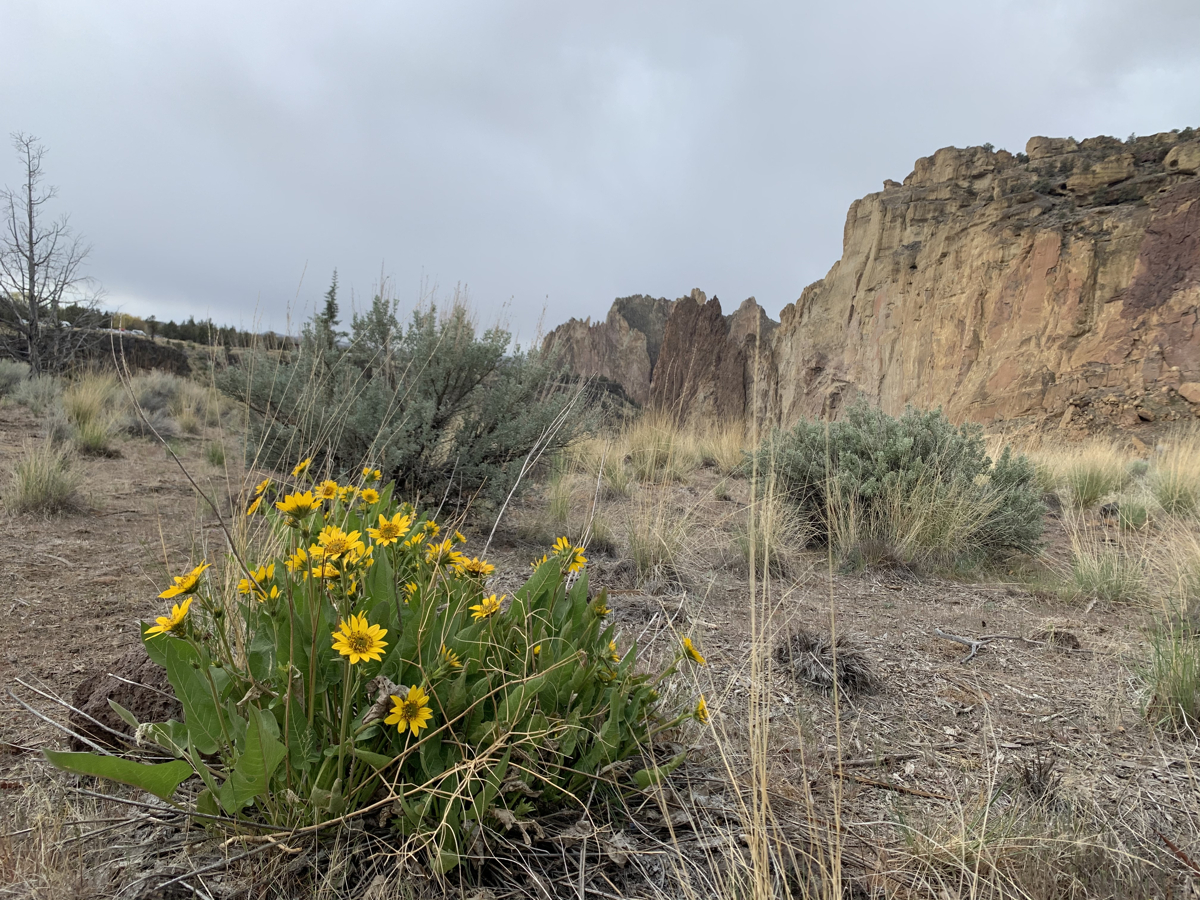 Places to Visit in Oregon in April - PhotoJeepers