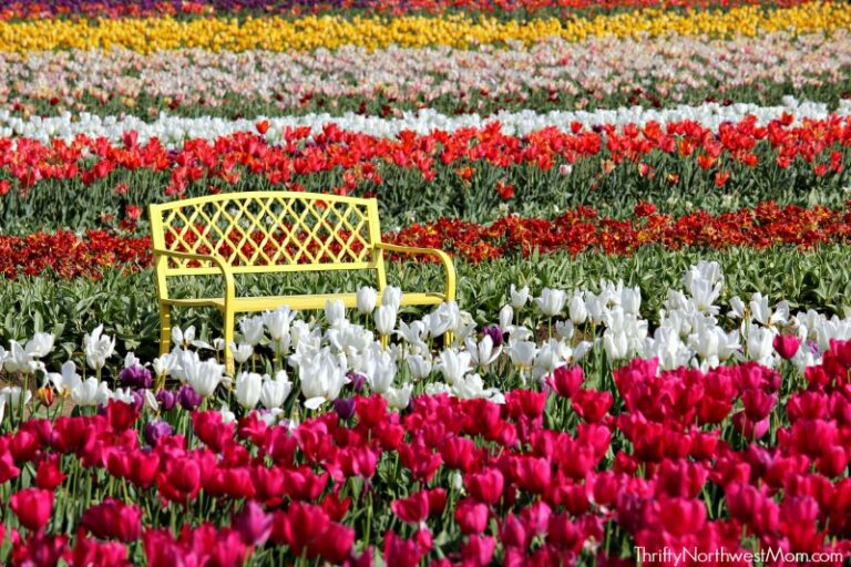 Places to Visit in Oregon in April - PhotoJeepers