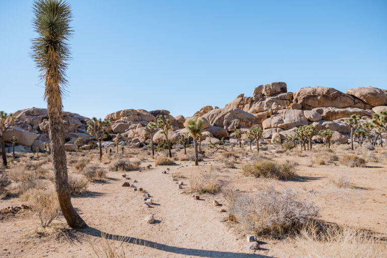 Places to Visit in California in April - PhotoJeepers