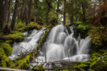 Places to Visit in Oregon in June - PhotoJeepers