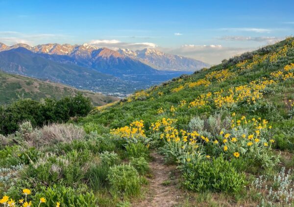 Places to Visit in Utah in May - PhotoJeepers
