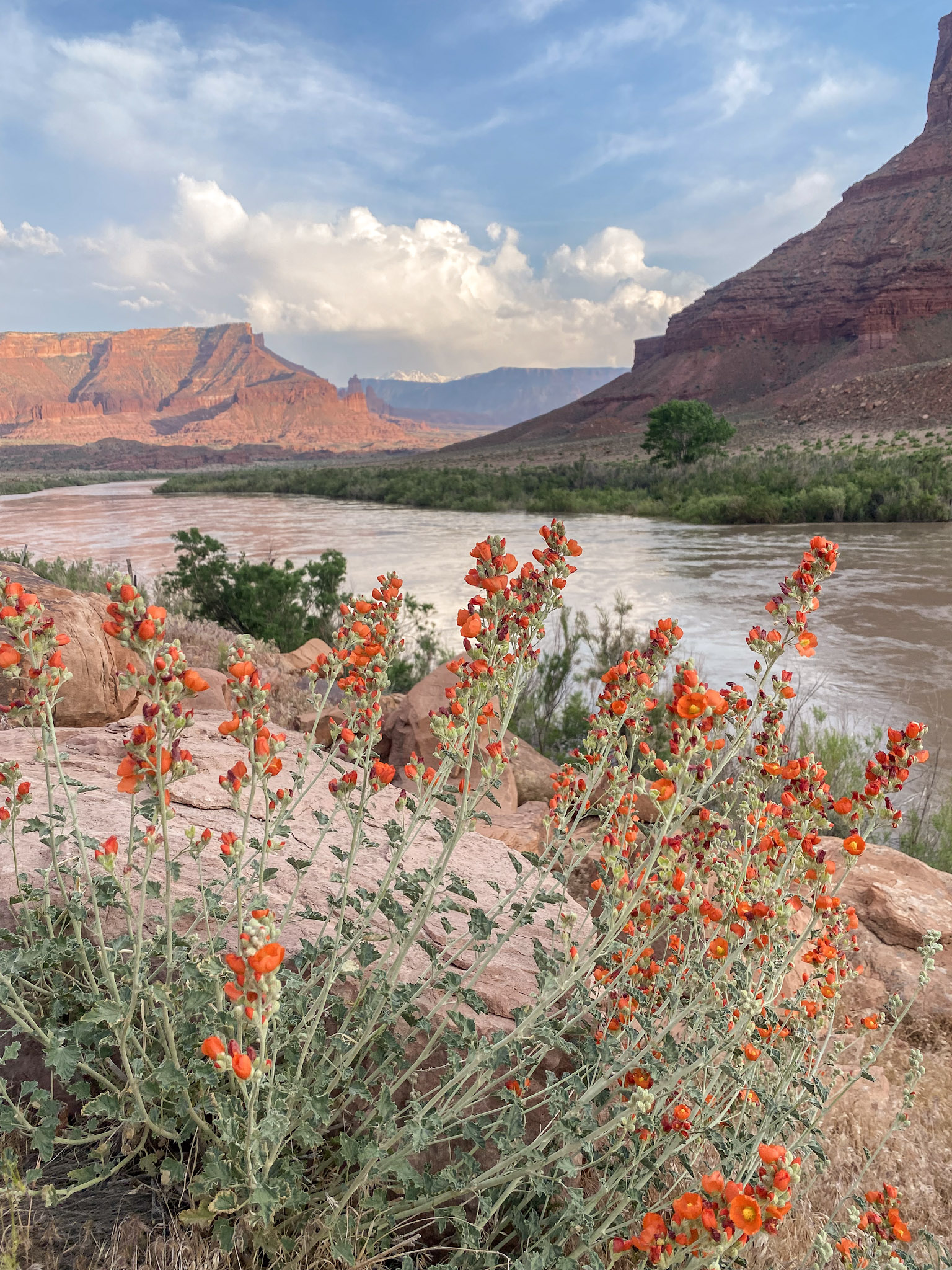 Places to Visit in Utah in May - PhotoJeepers