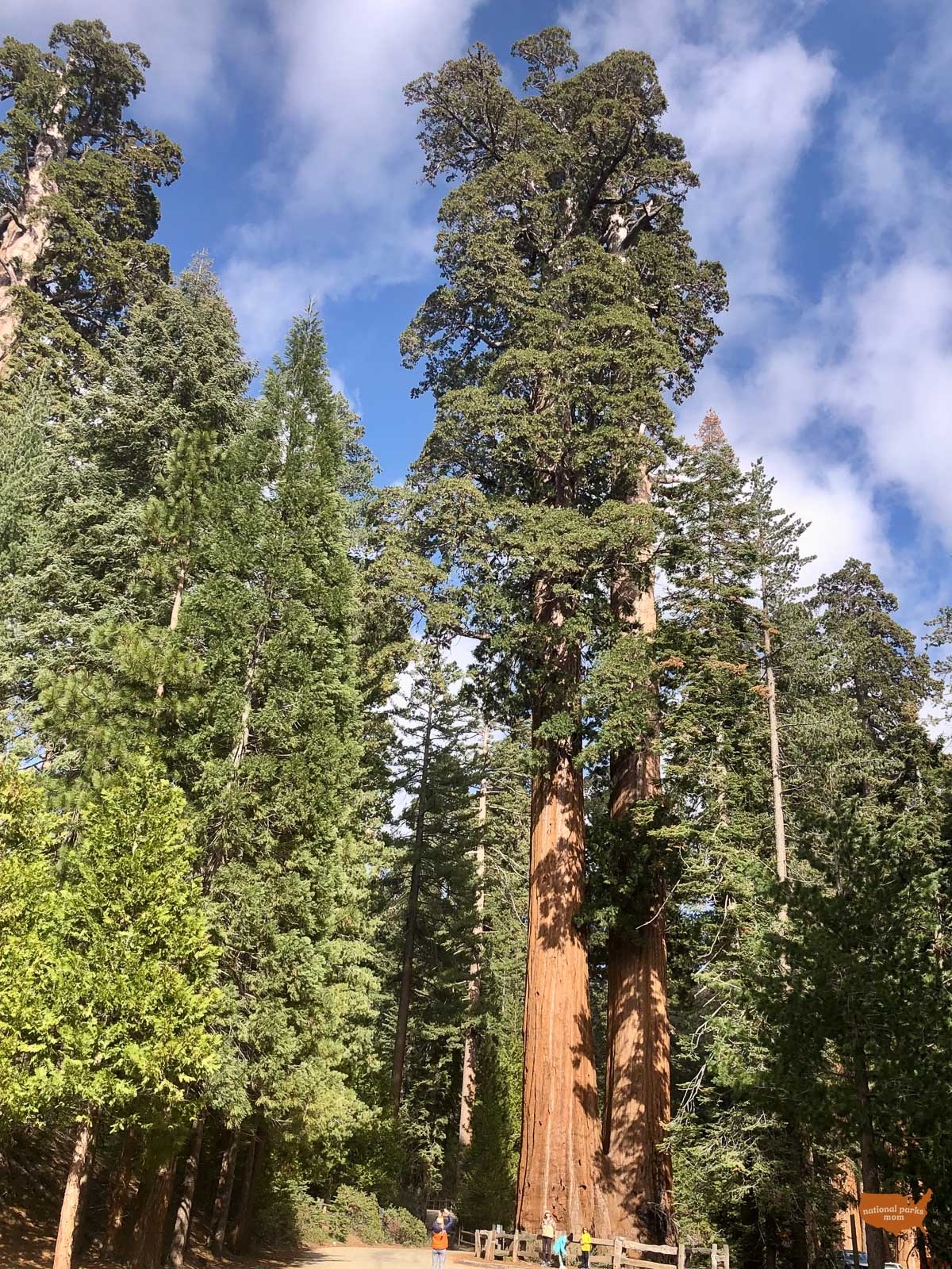 Places to Visit in California in the Summer - PhotoJeepers